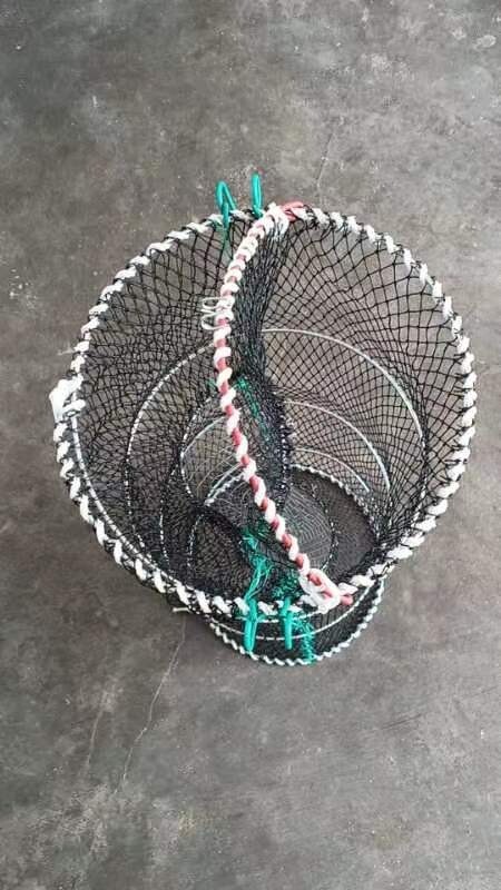 Scottish Crab Lobster Crayfish Bait collapsible creel pot trap - ready ...