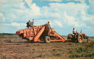 c1950s Peanut Picker Agricultural Implement - Farming Postcard | eBay