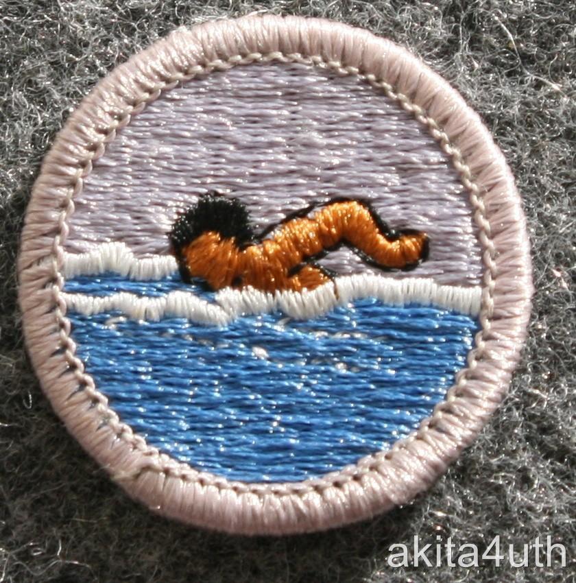 Bsa Swimming Merit Badge