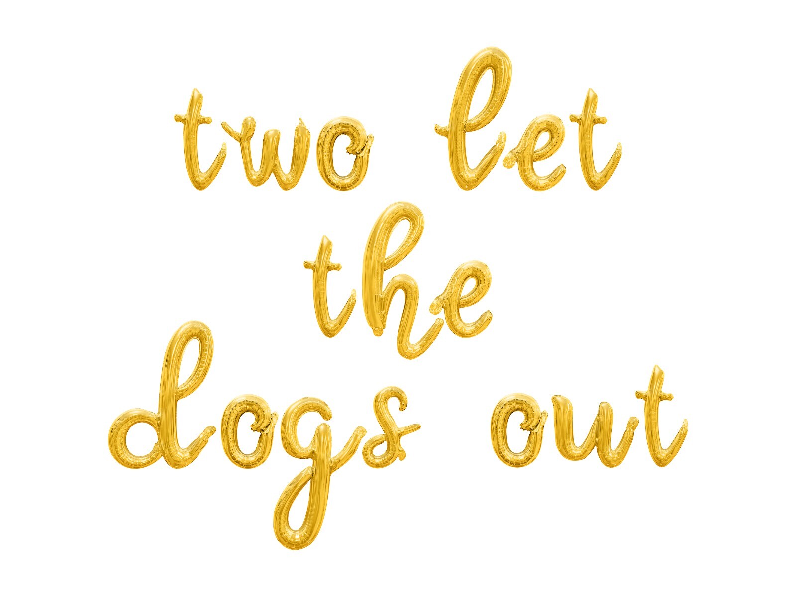 TWO LET THE DOGS OUT Cursive Letter Balloon Banner - 2nd Birthday Party ...