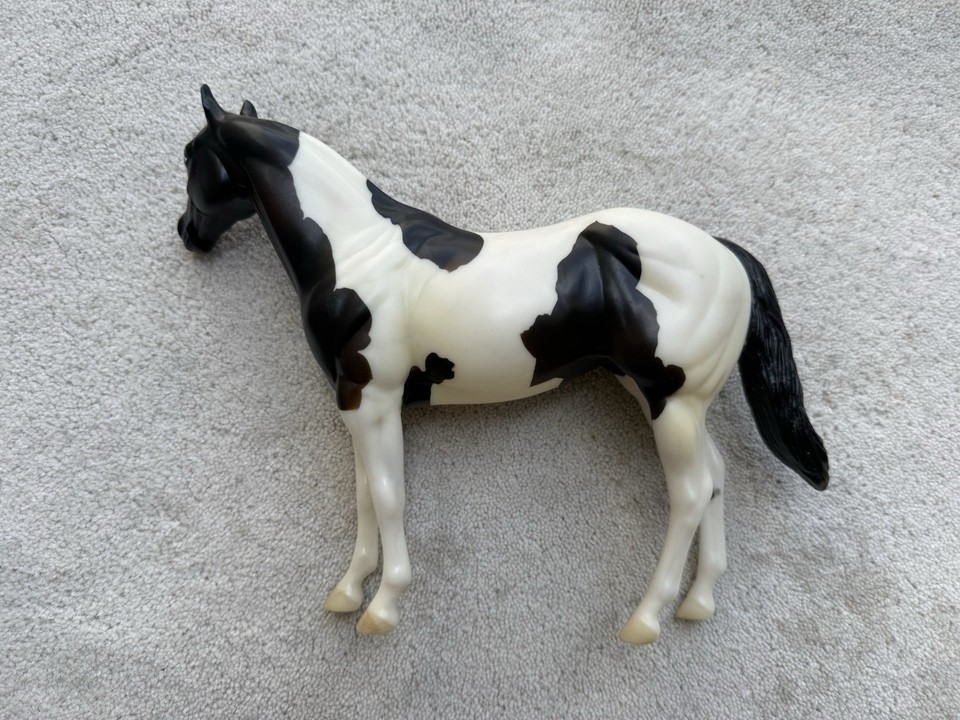 Peter Stone Ideal Stock Horse “Carat” Satin Black Pinto Equilocity ...