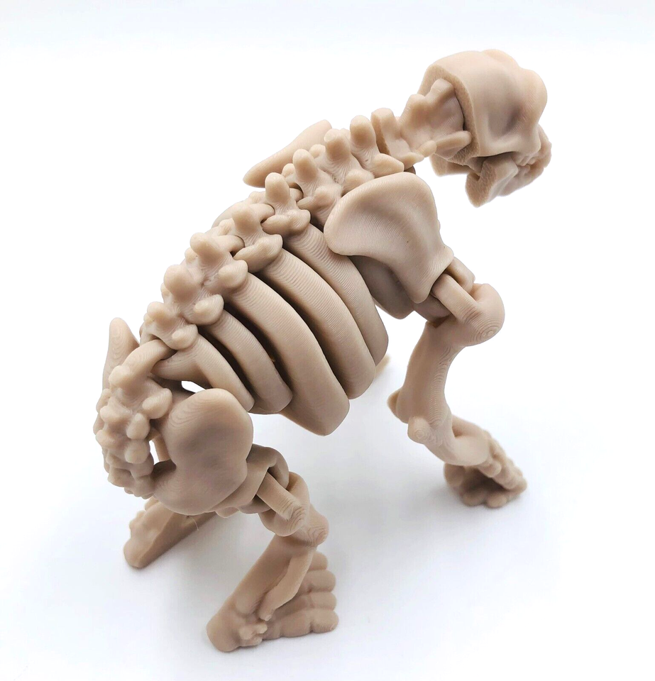 3D Printed Skeleton Chimpanzee Bone Animal Display Toy Articulated ...