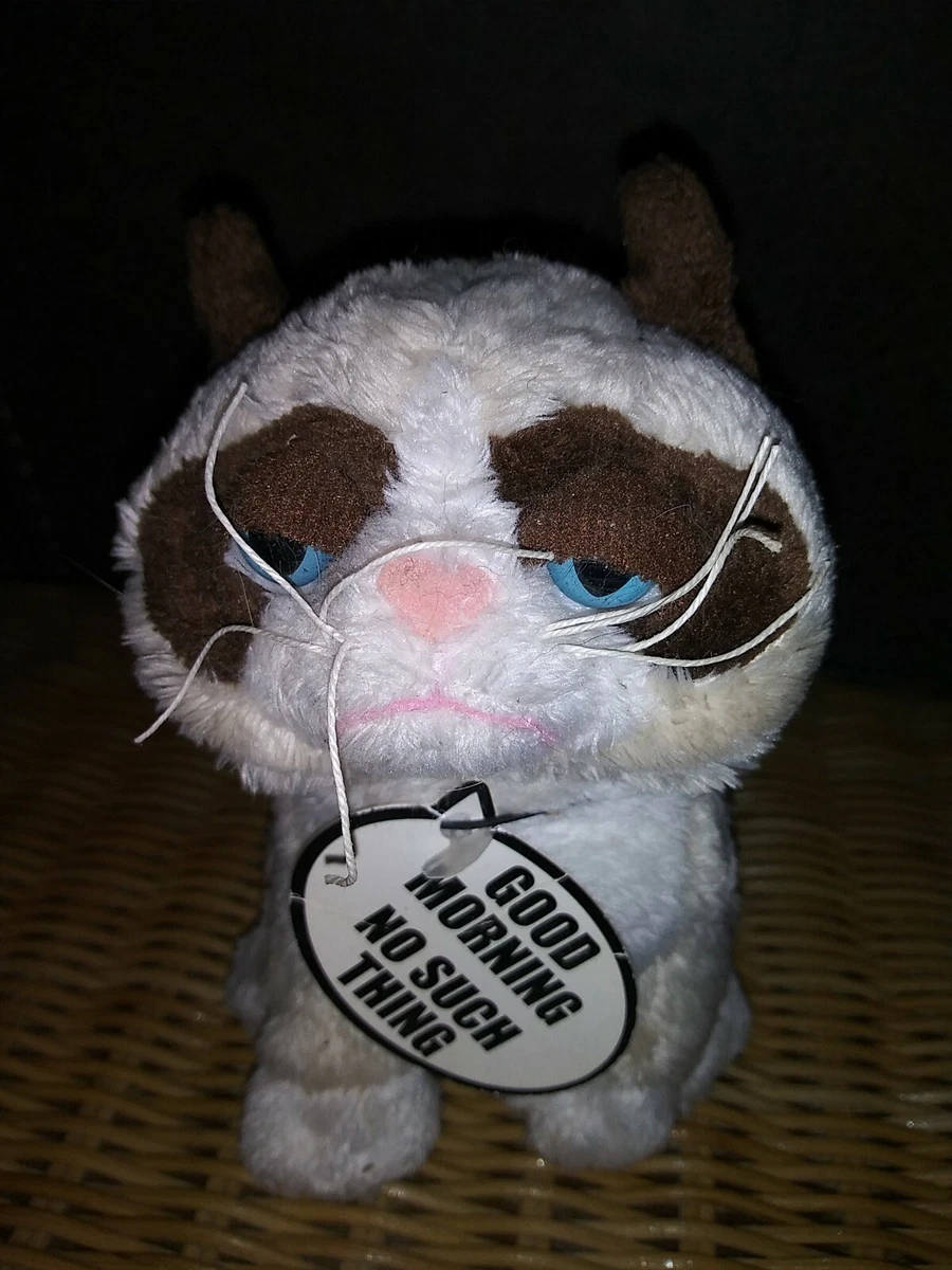 Good Morning No Such Thing Grumpy Cat
