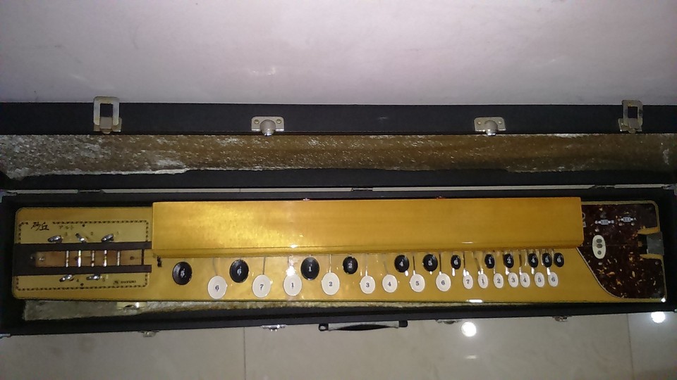 SUZUKI SAKYU Alto 94cm (27-key) Electric Taishogoto + Hard Case ( #03 ...