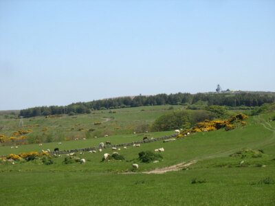 Photo 6x4 The disused Shell depot at Rhosgoch viewed across sheep ...
