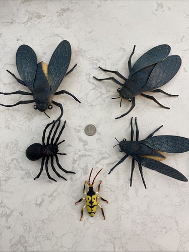 Very Large Cicadas Rubber Insects Spider Beetle Toy Bugs 5 Pc. Total ...