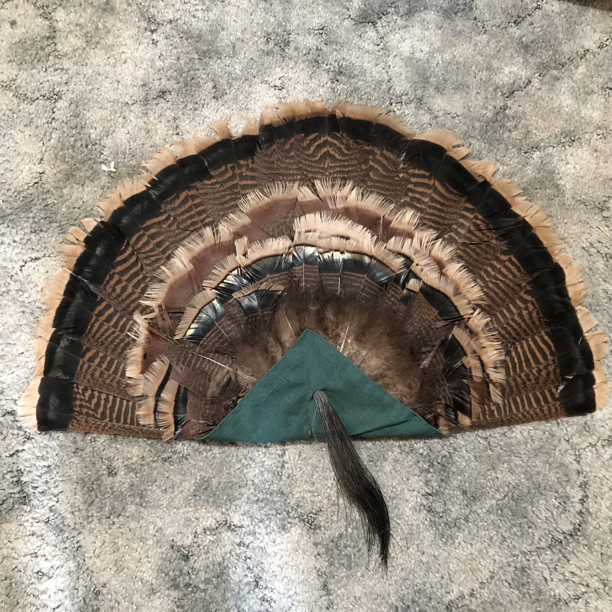 Turkey Tail Fan Logo