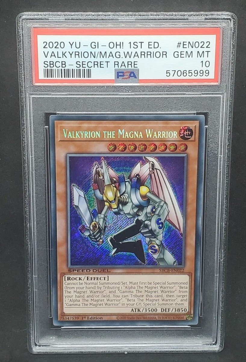 Valkyrion The Magna Warrior Fusion