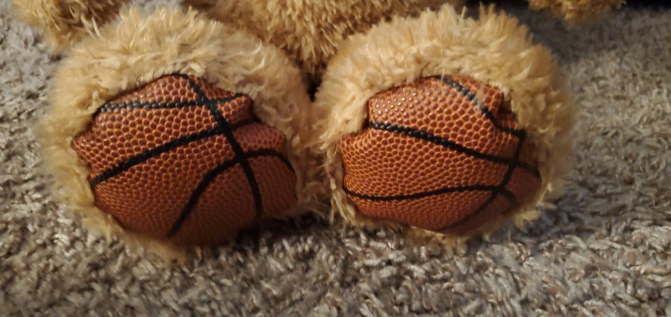 Build A Bear Basketball Bear | eBay