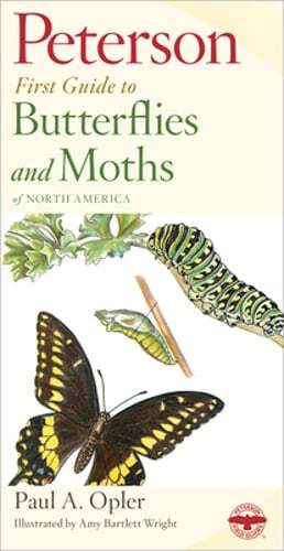 Peterson First Guide To Butterflies And Moths by Roger Tory Peterson ...