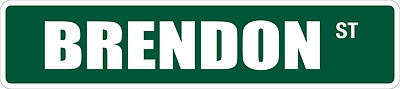 *Aluminum* Brendon 4" x 18" Metal Novelty Street Sign SS 653 | eBay