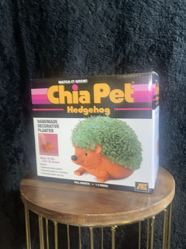 Chia Pet Hedgehog Decorative Planter | eBay