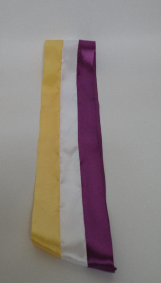 Suffragette Sash - Costume Parade Dress-up Reenactment Suffragist | eBay