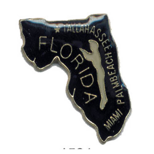Wholesale Lot of 12 Florida State Shaped Lapel Hat Pins Tie Tac FAST ...