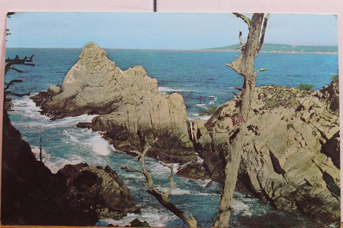 California CA Carmel Pinnacle Point Lobos State Park Postcard Old ...