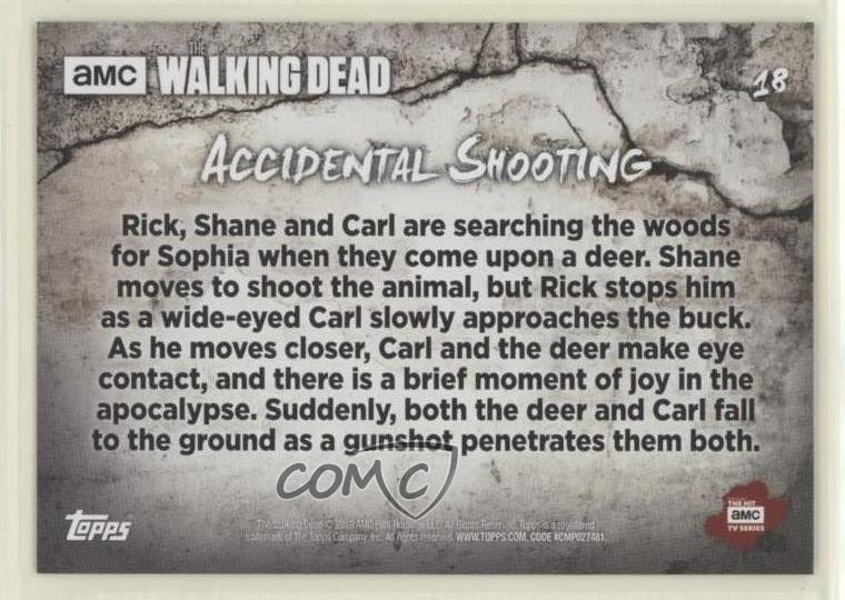 2018 Topps The Walking Dead Road to Alexandria Rust Carl Grimes Rick ...
