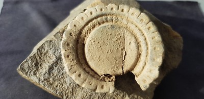 Roman - Roman Lead Mirror