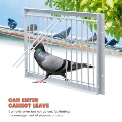 Removable Trap Door Bird Cage Movable Gate Single Entrance Pigeon Loft ...