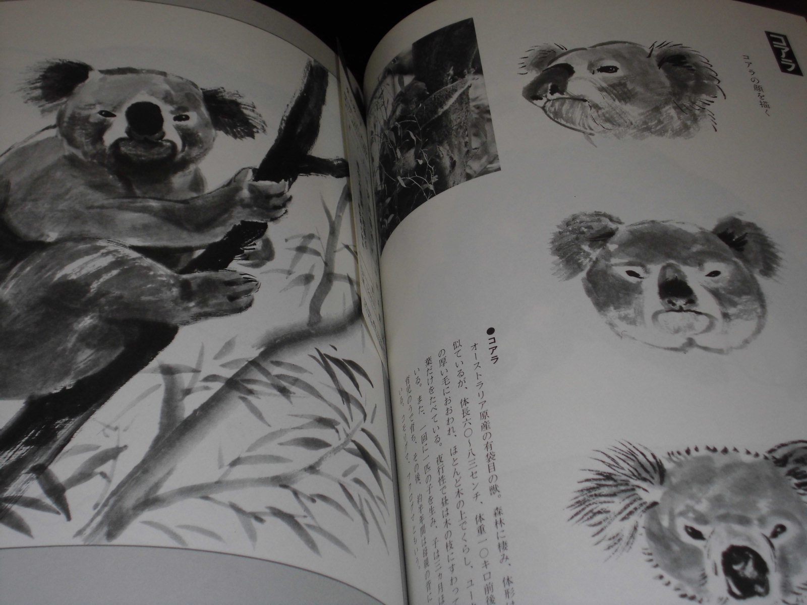 Japanese Sumi-e Drawing Sample Book Kikan Suibokuga Bessatsu 4 Animals ...