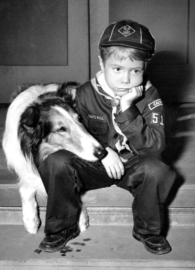 LASSIE TV SHOW *2X3 FRIDGE MAGNET* COLLIE DOG DRAMA RESCUE TELEVISION ...