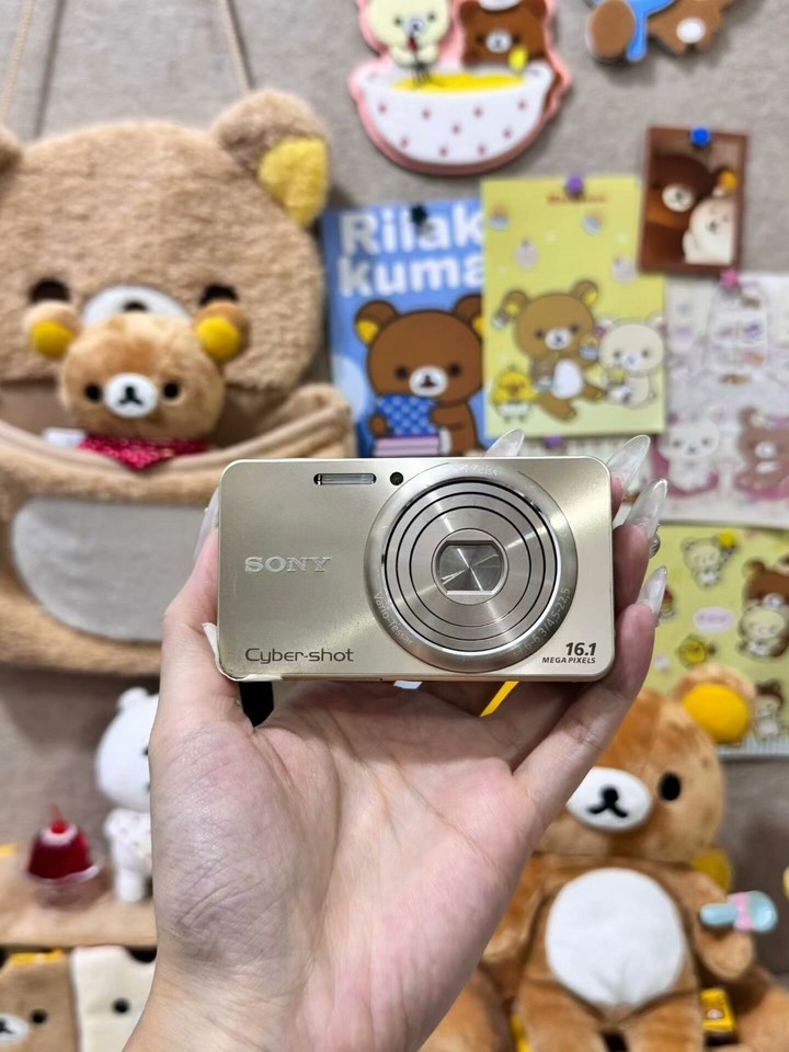 Sony DSC-W570 Cyber-shot Camera 16.1MP 5x Optical Zoom – Perfect for ...