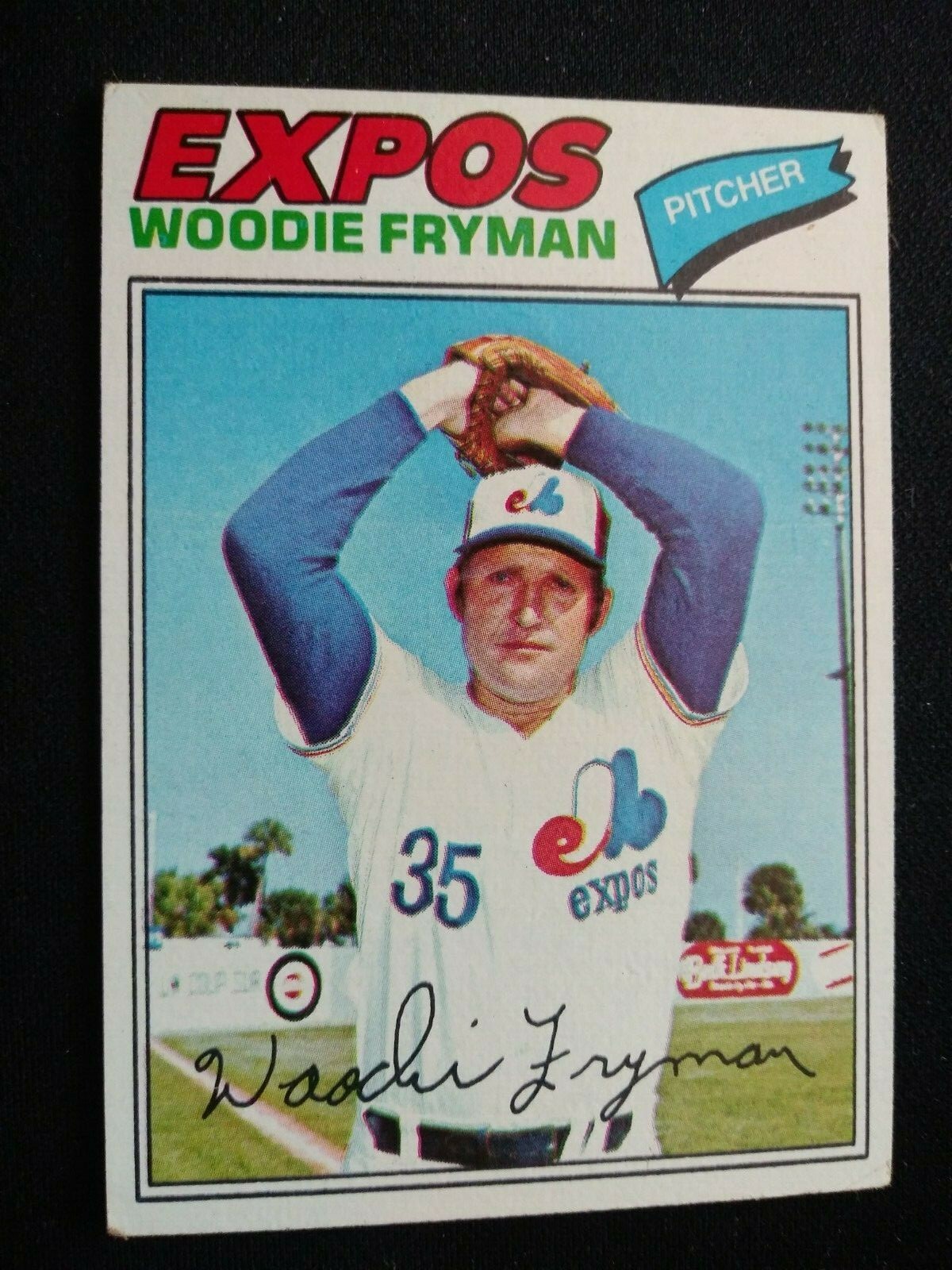1977 Topps Baseball Card # 28 Woodie Fryman - Montreal Expos | eBay