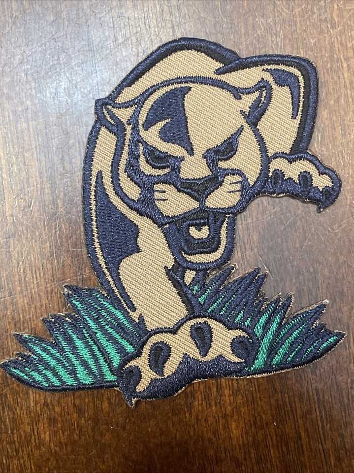FIU PANTHERS Florida International U Vintage Embroidered Iron On Patch ...