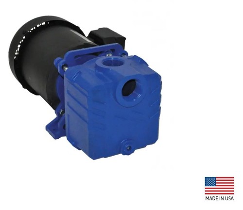 CENTRIFUGAL WATER PUMP Cast Iron - 1.25" Ports - 1 Hp - 230/460V/3P ...