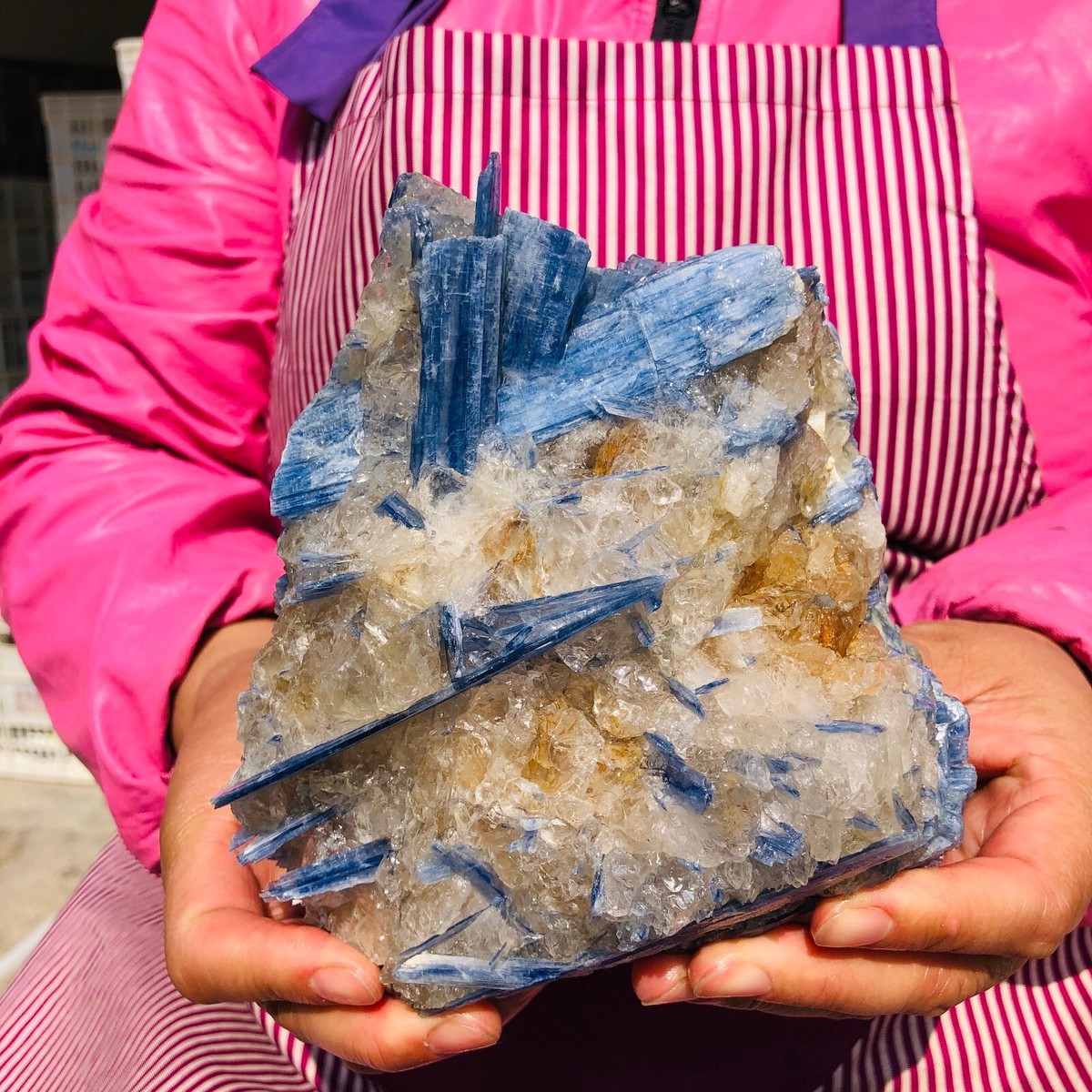 Vibrant Blue Kyanite Bladed Crystals Brazil Mineral Kyanite Blades