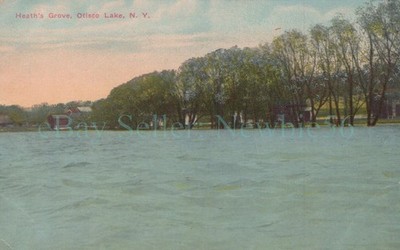 Amber NY - HEATH'S GROVE ON OTISCO LAKE - Postcard | eBay