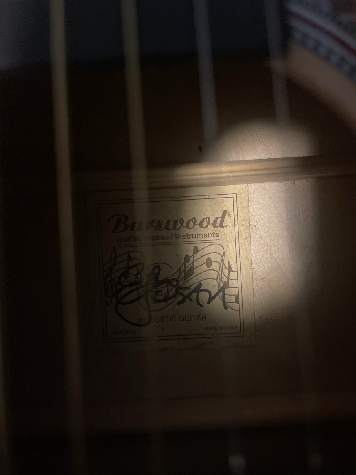 BURSWOOD ESTEBAN SIGNED CLASSIC ACOUSTIC DREADNOUGHT GUITAR + PADDED ...