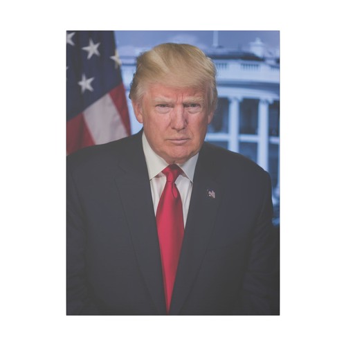 President Donald J. Trump Matte Canvas, Stretched, 36 x 48 in (Extra ...
