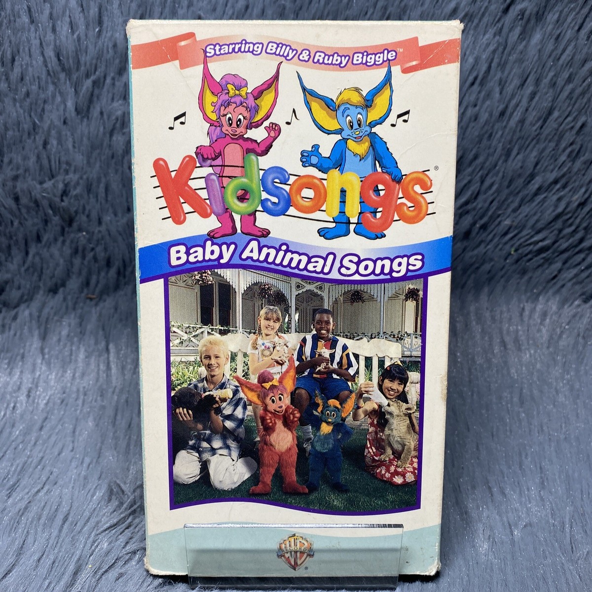 Kidsongs Baby Animals