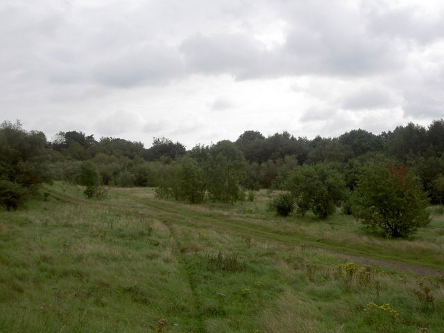 Photo 6x4 Scrub land near Fishwick Bottoms Preston/SD5329 This area of ...
