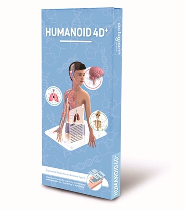 Humanoid 4D+ Cards augmented reality Flashcards Human body for ...