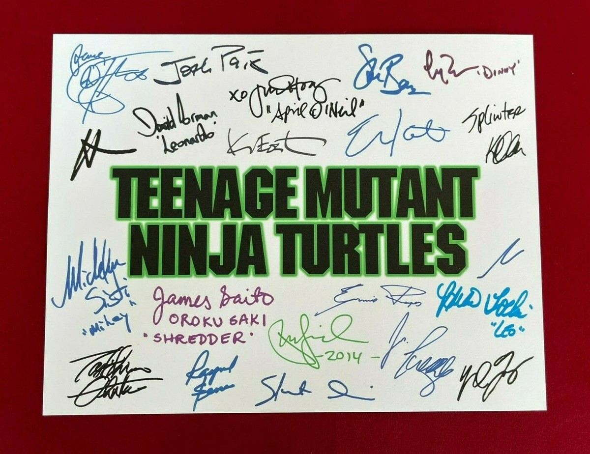 Teenage Mutant Ninja Turtles Cast 1990 The 1990 Teenage Mutant Ninja