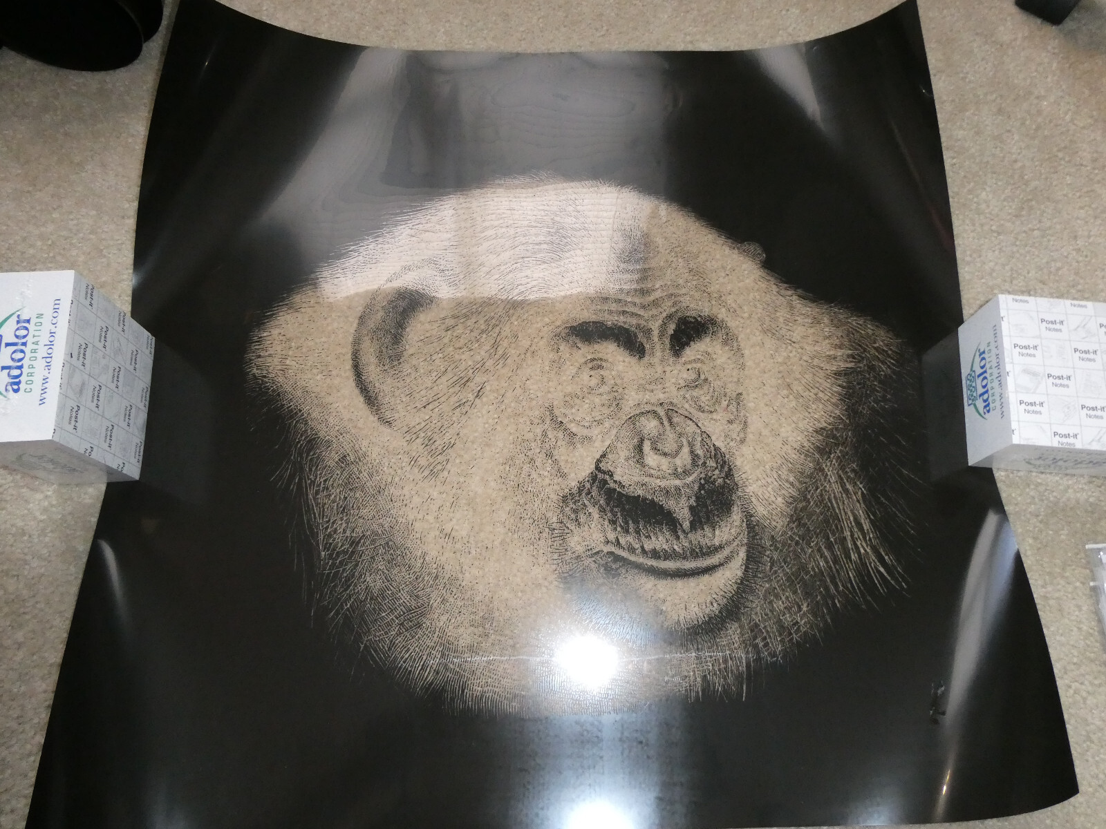 ODD Large Vintage Film Negative Primate Head Artwork 21 3/4x23" | eBay