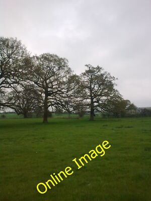 Photo 6x4 Sibton Park Hemp Green Off the A1120 Yoxford Road c2013 | eBay UK