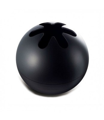 Easyscent Lampe Berger Sphère Noir 900001 | eBay