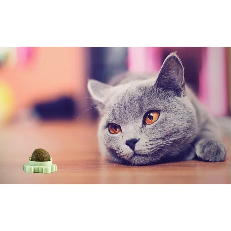 1/2/3/4 Pcs Avocado Catnip Wall Ball Cat Edible Catnip Toys Licking ...