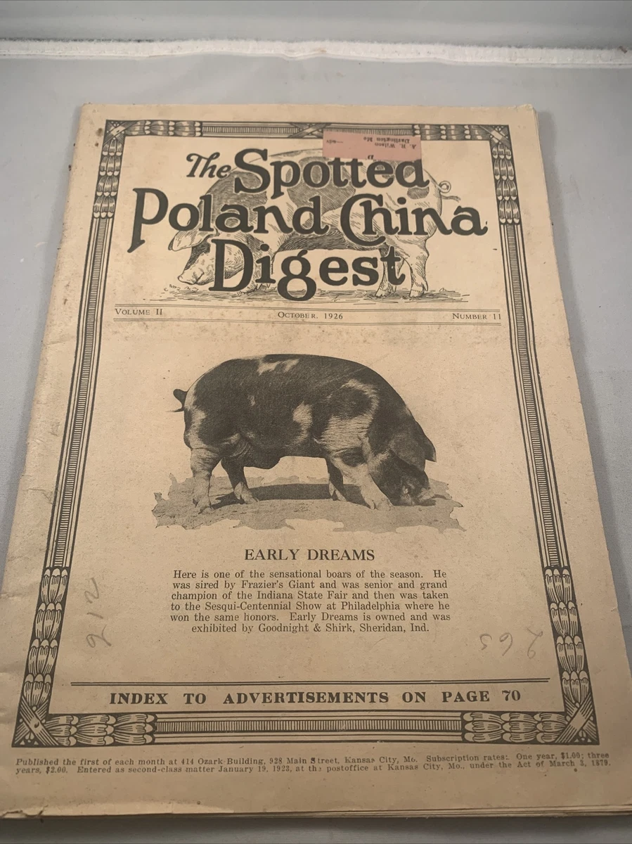 Spotted Poland China Hogs