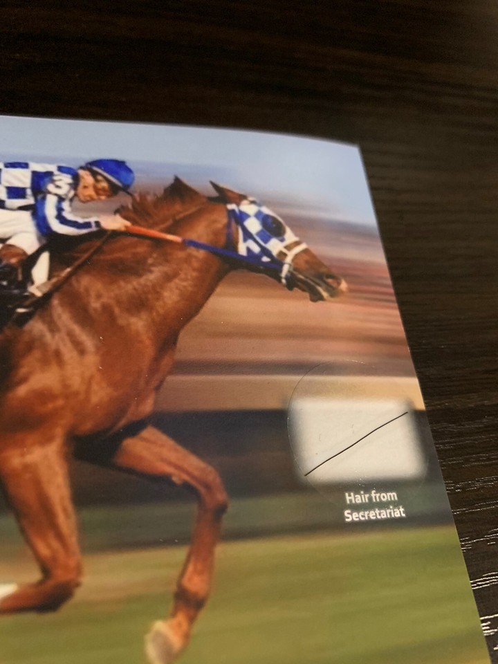Secretariat Hair Strand Lock Relic Historic Horse Mane Kentucky Derby ...