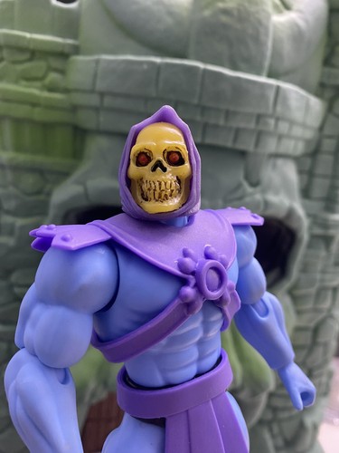 Motu Origins Custom Alcala Skeletor Head (Filmation colors) | eBay