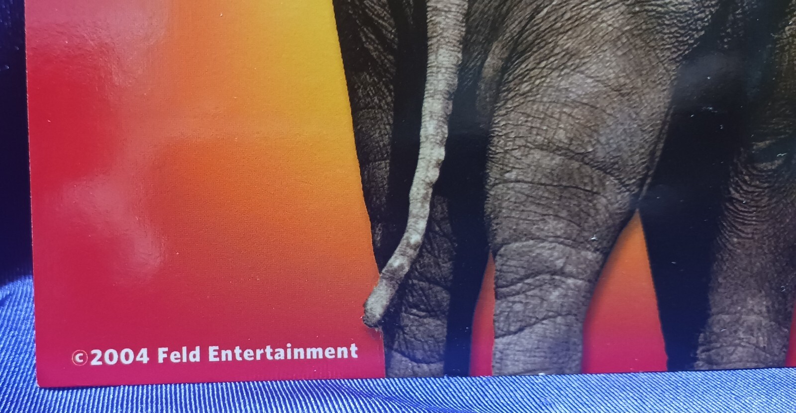 Ringling Bros & Barnum Bailey Circus The Greatest Show on Earth 2004 ...