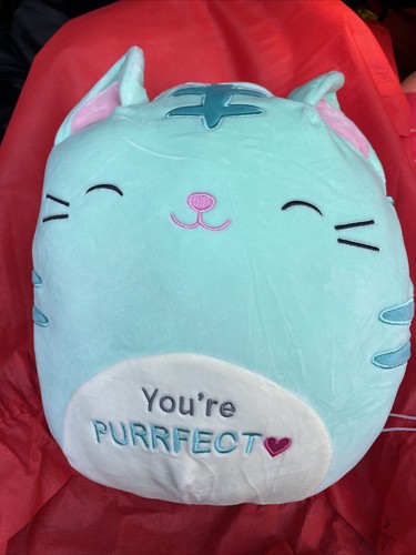 Squishmallow Jules Cat You’re Purrfect Plush Toy Excellent Condition | eBay