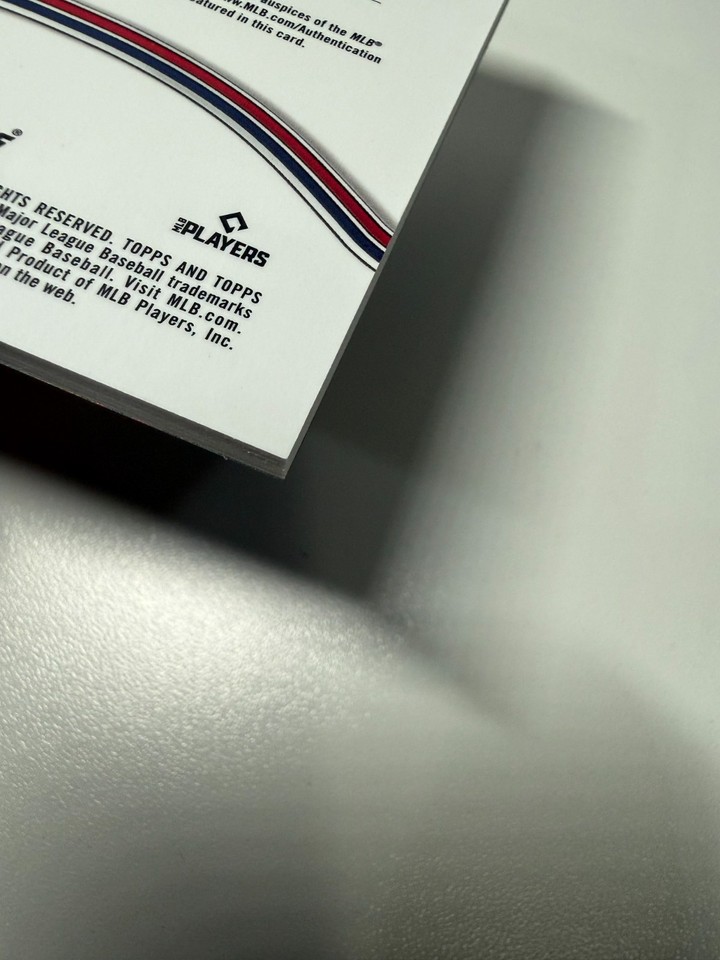 Vladimir Guerrero Jr. 2024 Topps Tribute Stamp of Approval Blue Relic ...