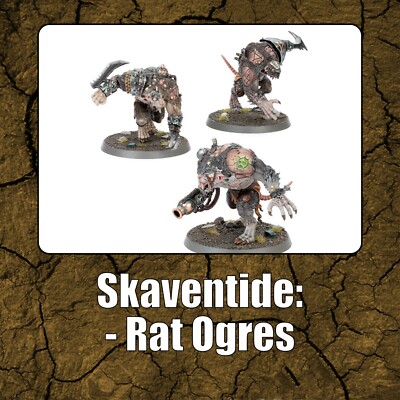 Warhammer AoS 4th Edition Skaventide Skaven Rat Ogres | eBay