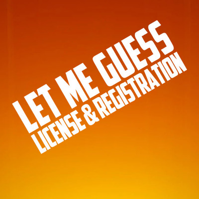 Funny "Let Me Guess License and Registration" Car Decal | JDM Vinyl ...