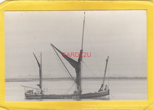 CAMBRIA 1906 F.T. Everard & Sons mulie barge -Photograph | eBay UK
