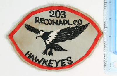203rd Recon Airplane Co Hawkeyes Patch Vietnam War Era US Army | eBay